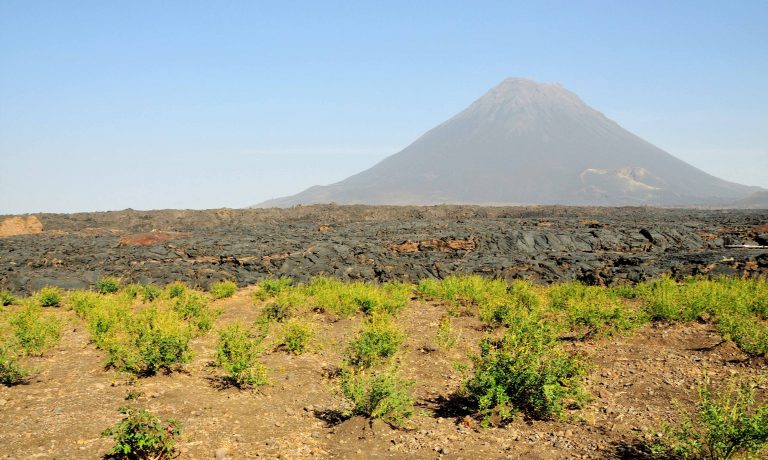 Gardens and Parks of Cape Verde